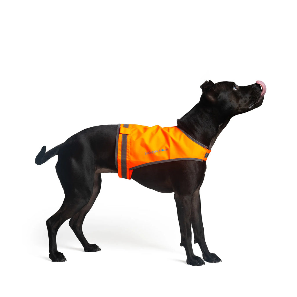 Hi Visibility Reflective Dog Vest LITE – SafetyPUP XD - Superior ...