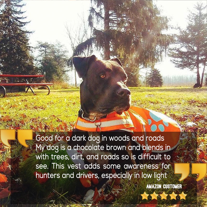 SafetyPUP XD - Superior Visibility - Reflective, Hi Vis Dog Vests and ...