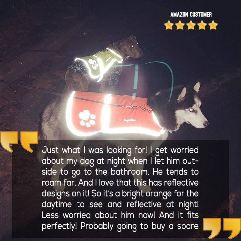 SafetyPUP XD - Superior Visibility - Reflective, Hi Vis Dog Vests and ...