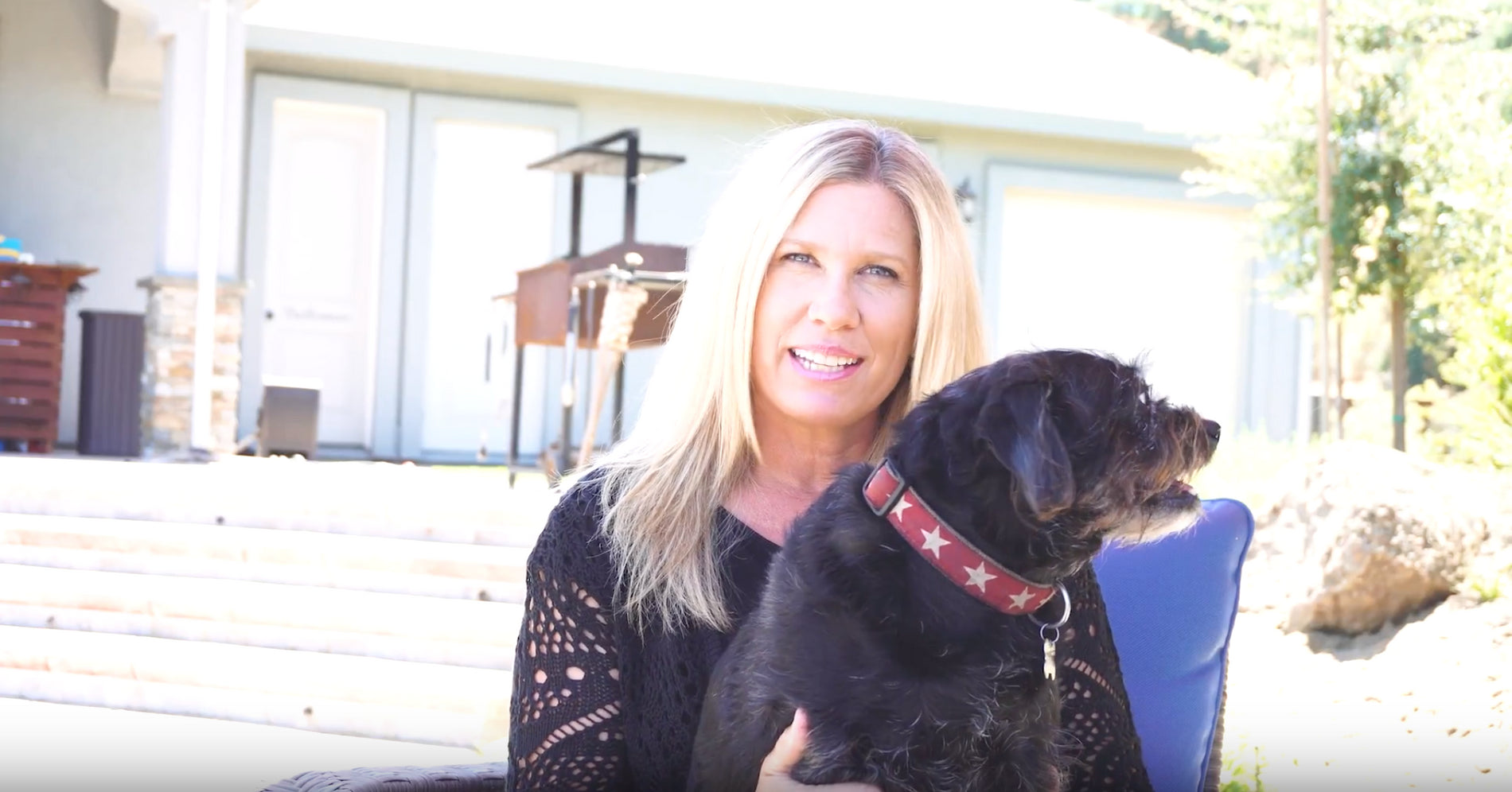 SafetyPUP XD - Superior Visibility - Reflective, Hi Vis Dog Vests and ...